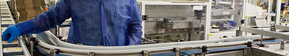 Bringing your team up to speed | Quin Systems Ltd